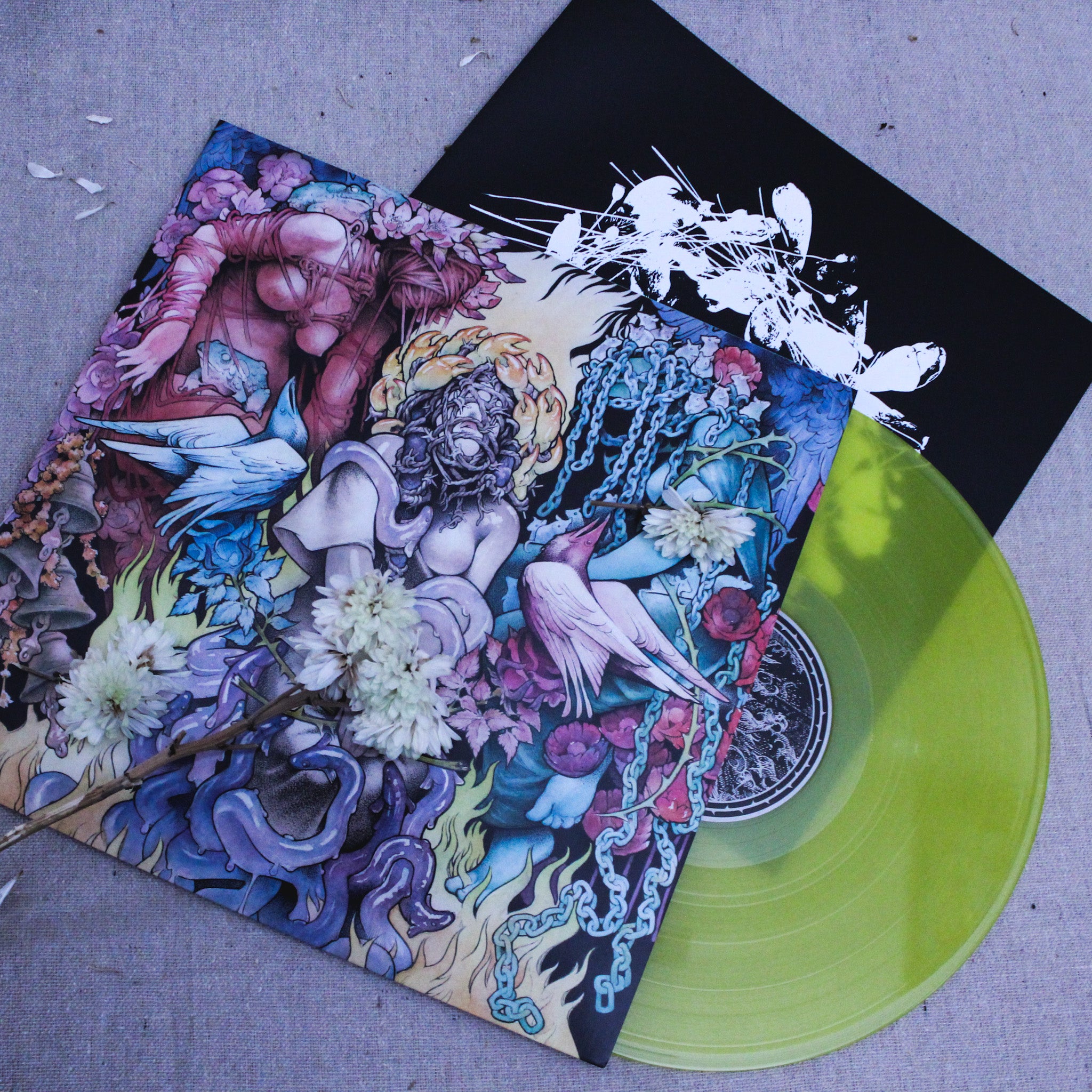 Modern Vinyl – Gantro Media